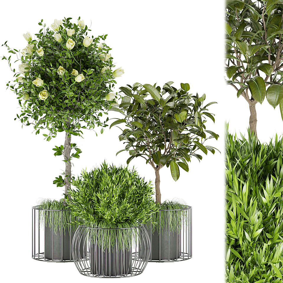 Collection plant vol 58 - leaf - ble - 3ds - c4d