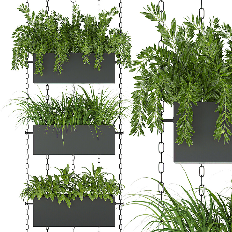Collection plant vol 85 - ble - 3ds - c4d