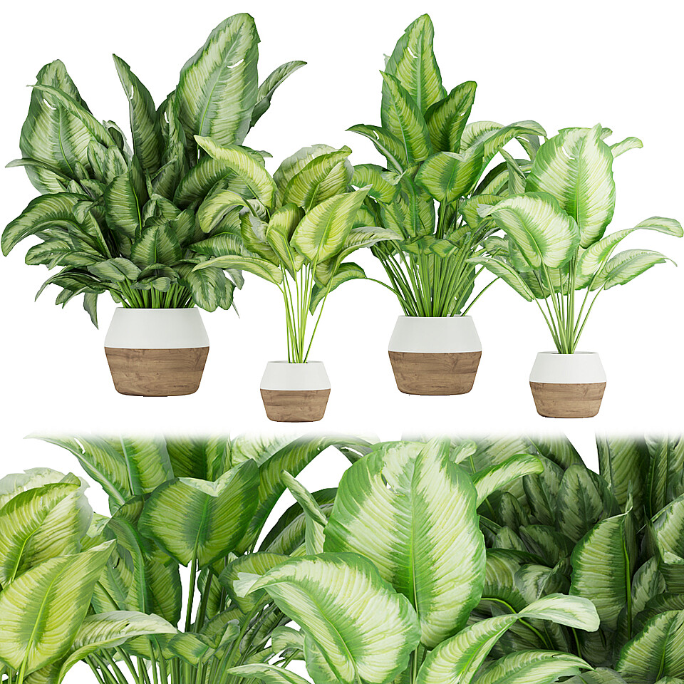 Collection plant vol 298 - ble - 3ds - c4d