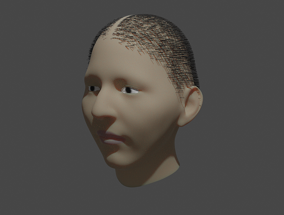 character face model cycles blender 3D