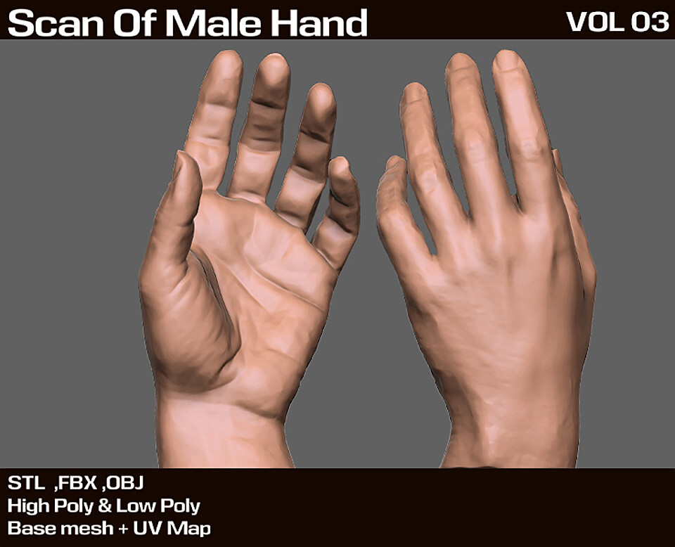 3D Scan Real Male Hand VOL 03