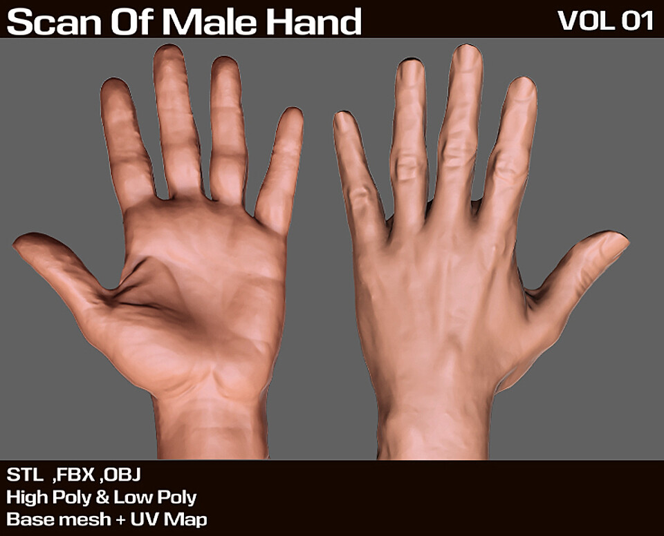 3D Scan Real Male Hand VOL 01