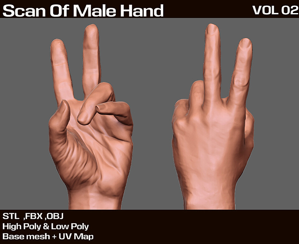 3D Scan Real Male Hand VOL 02