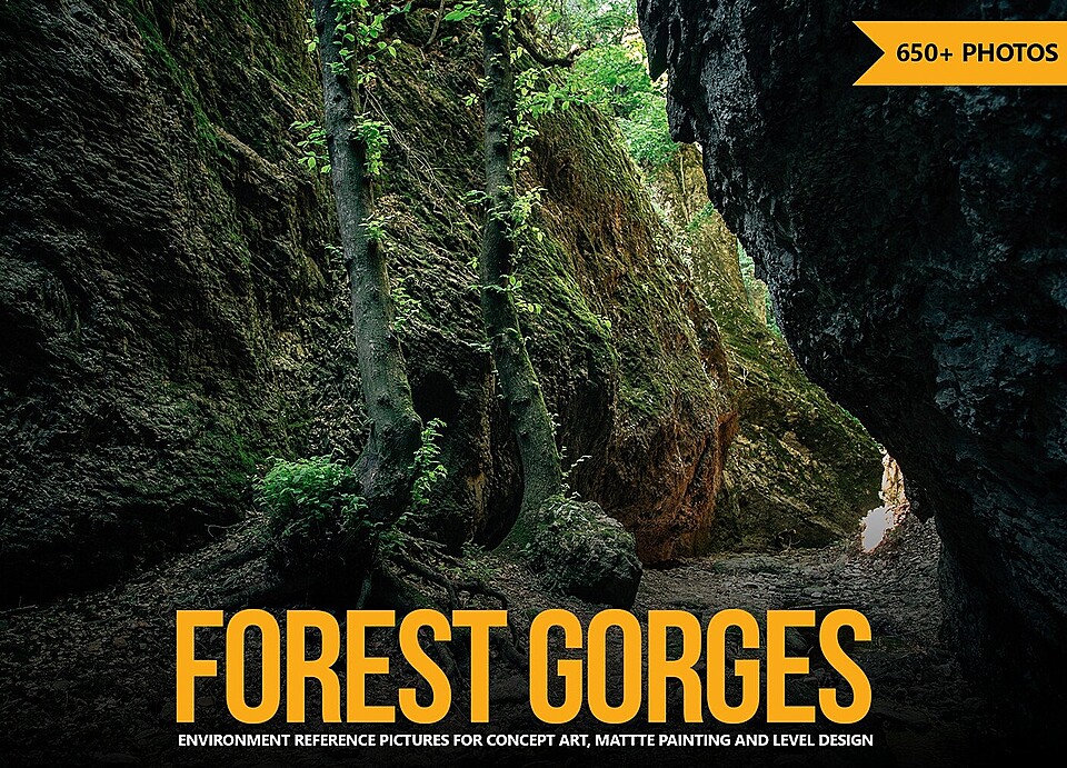 650+ Forest Gorges Reference Pictures
