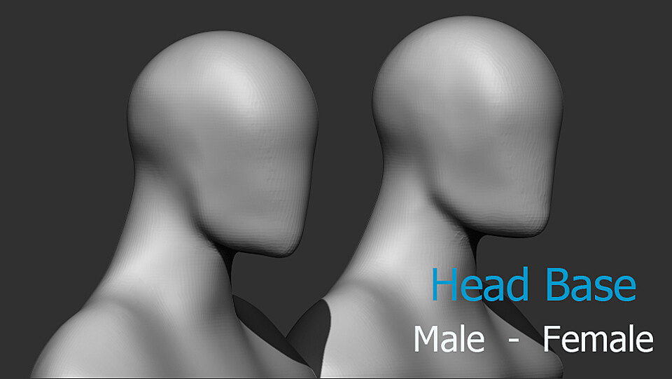 Male Female Head base