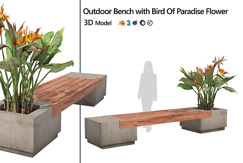 Outdoor bench with Bird Of Paradise flower