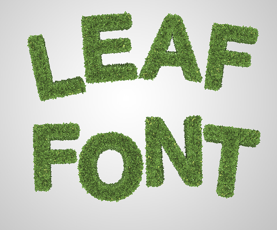 Boxwood Leaf Font