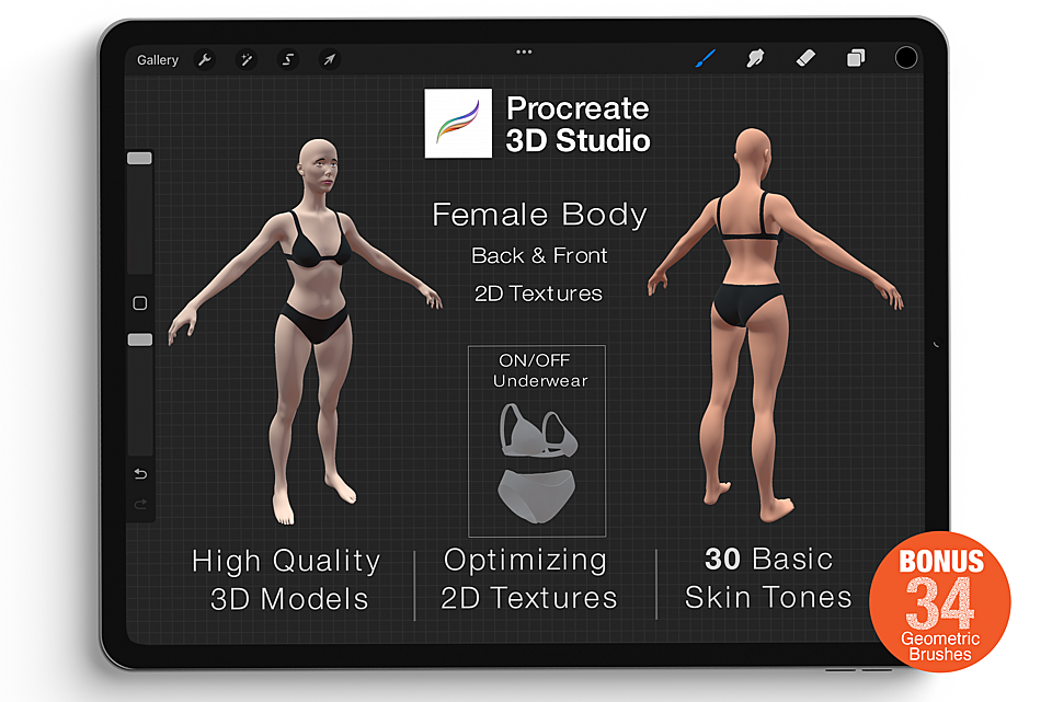 Procreate 3d Model - Full Body Female