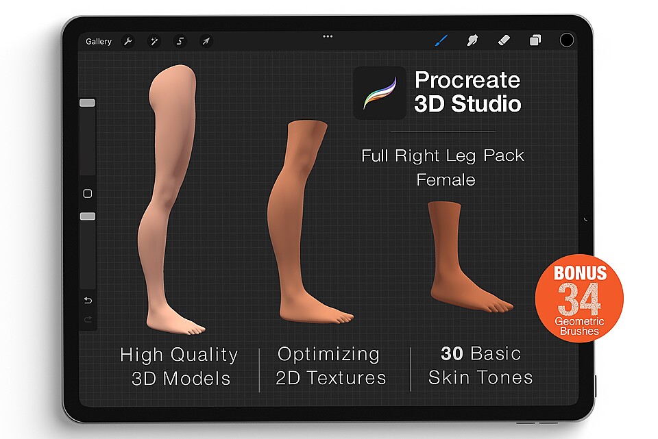 Procreate 3d Model - Right Leg Female