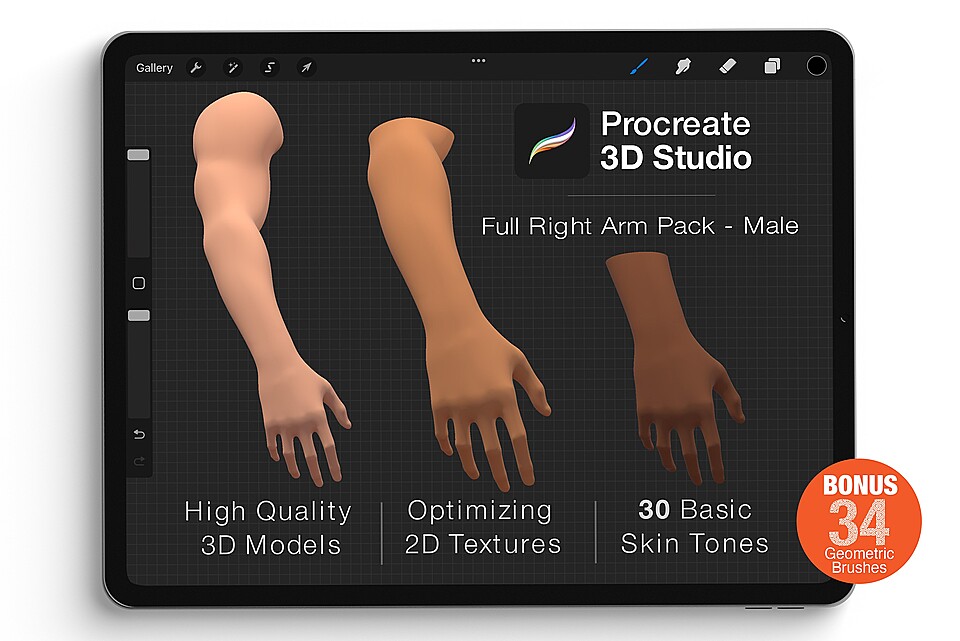 Procreate 3d Model - Right Arm male