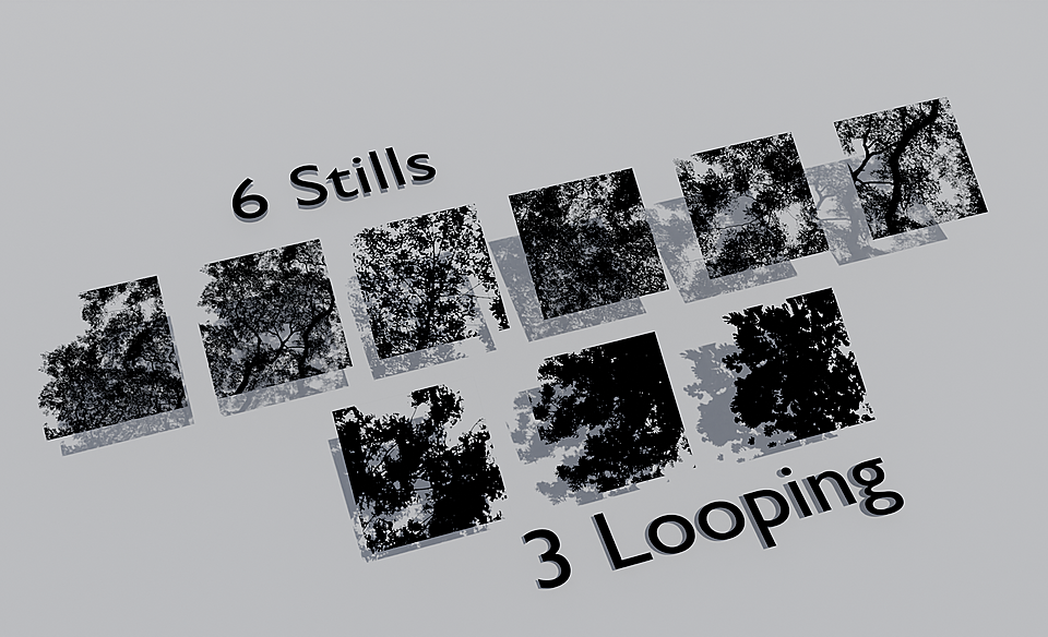 Tree Canopy GOBO Pack Animated and Stills Texture