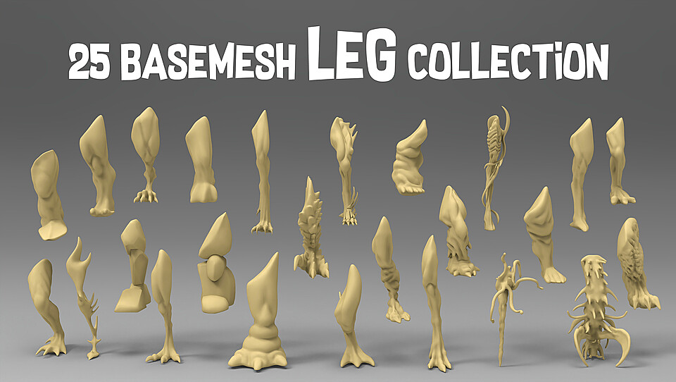 25 basemesh leg collection
