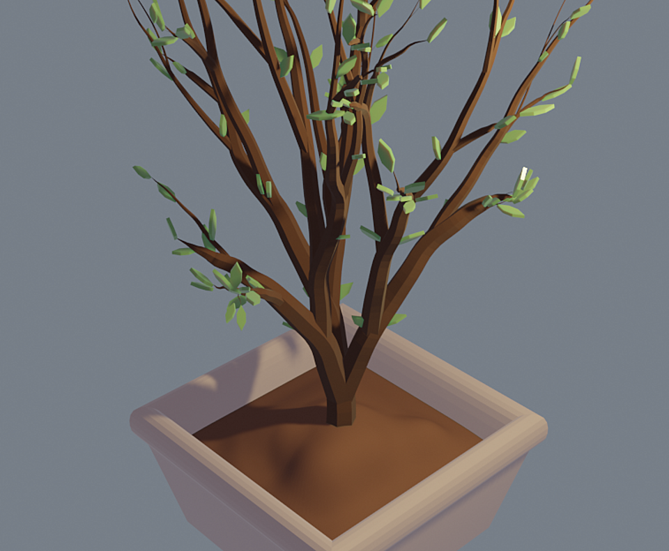 bonsai plant potted, blender Low poly