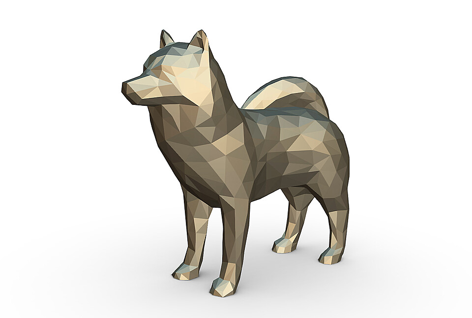 husky dog low poly