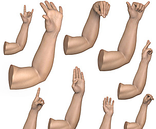 13 Single Hand Poses