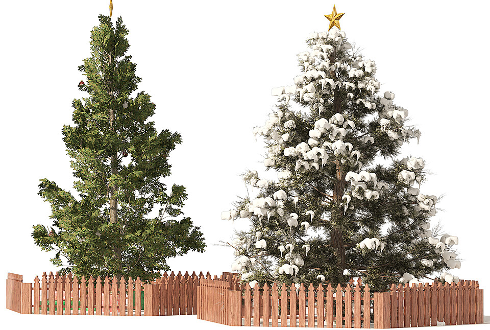 2 outdoor Christmas trees with wood fence