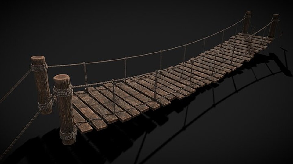 Rustic Wooden Rope Bridge