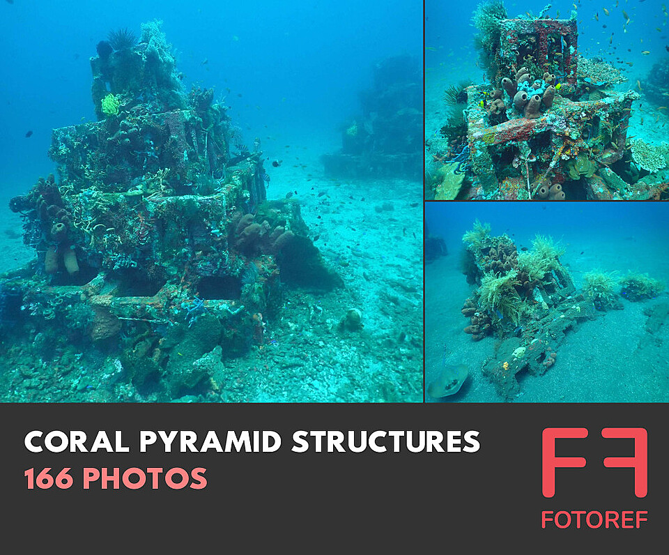 166 photos of Coral Pyramid Structures