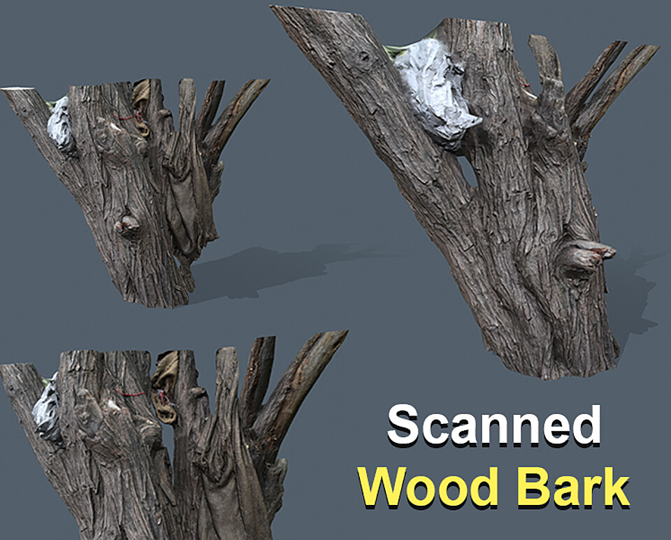 Wood Bark Low Poly