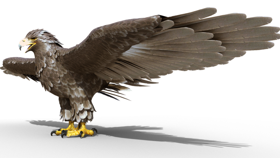 Golden Eagle Realistic model