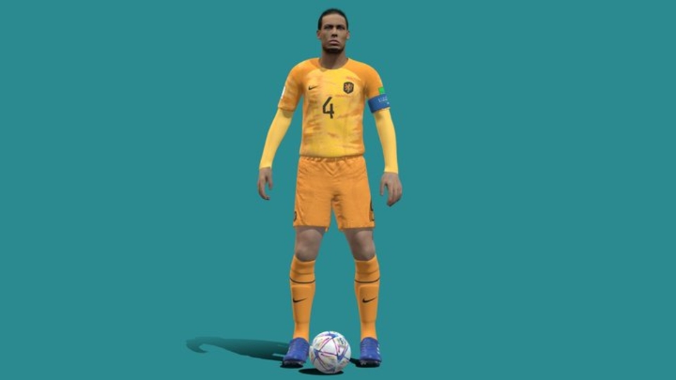 3D Rigged Van Dijk Netherlands Worldcup 2022
