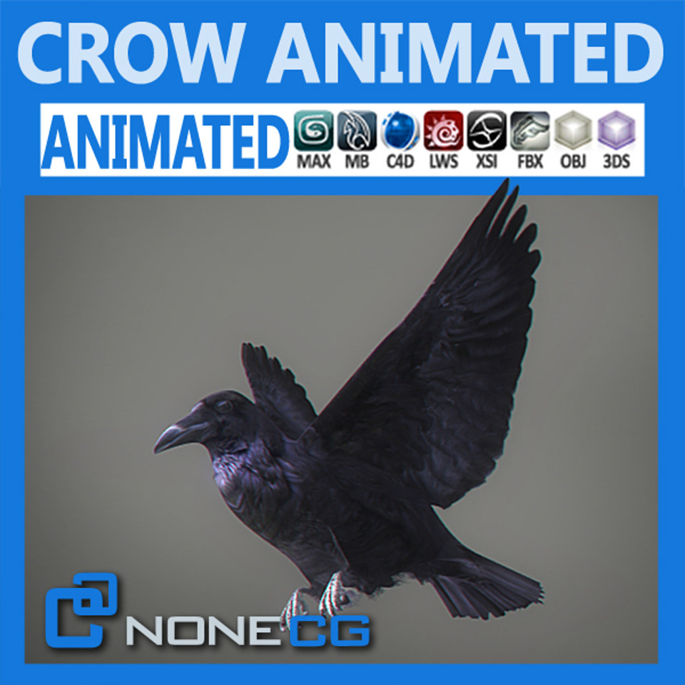 Animated Crow