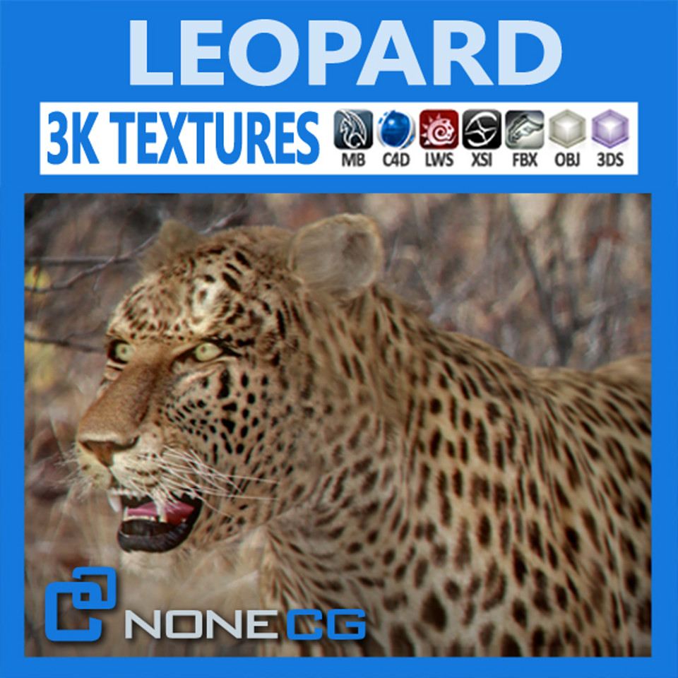 Leopard