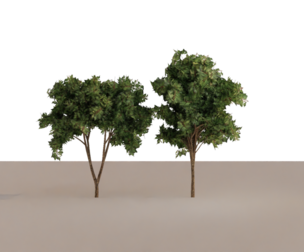 QUICK GHIBLI&ANIME TREE TOOL IN BLENDER