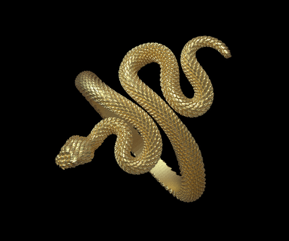 ring snake