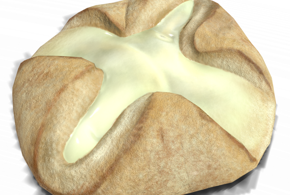 Danish Cheese Pastry