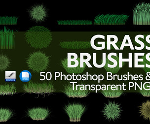 Grass Photoshop Brushes