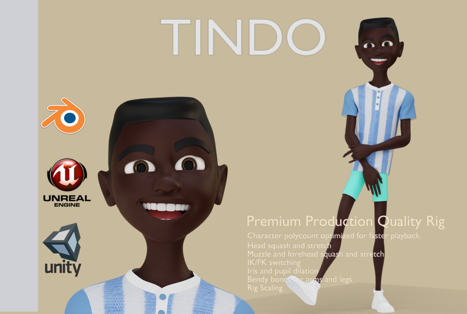 TINDO RIG BLENDER VERSION