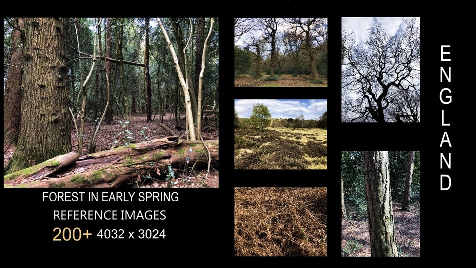 References: Spring Forest (England)