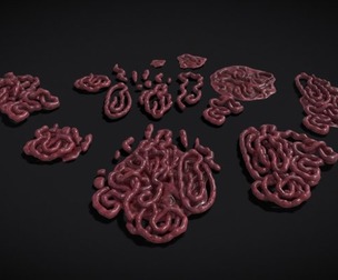 Gibs N Gore - Organs & Gibs Pack