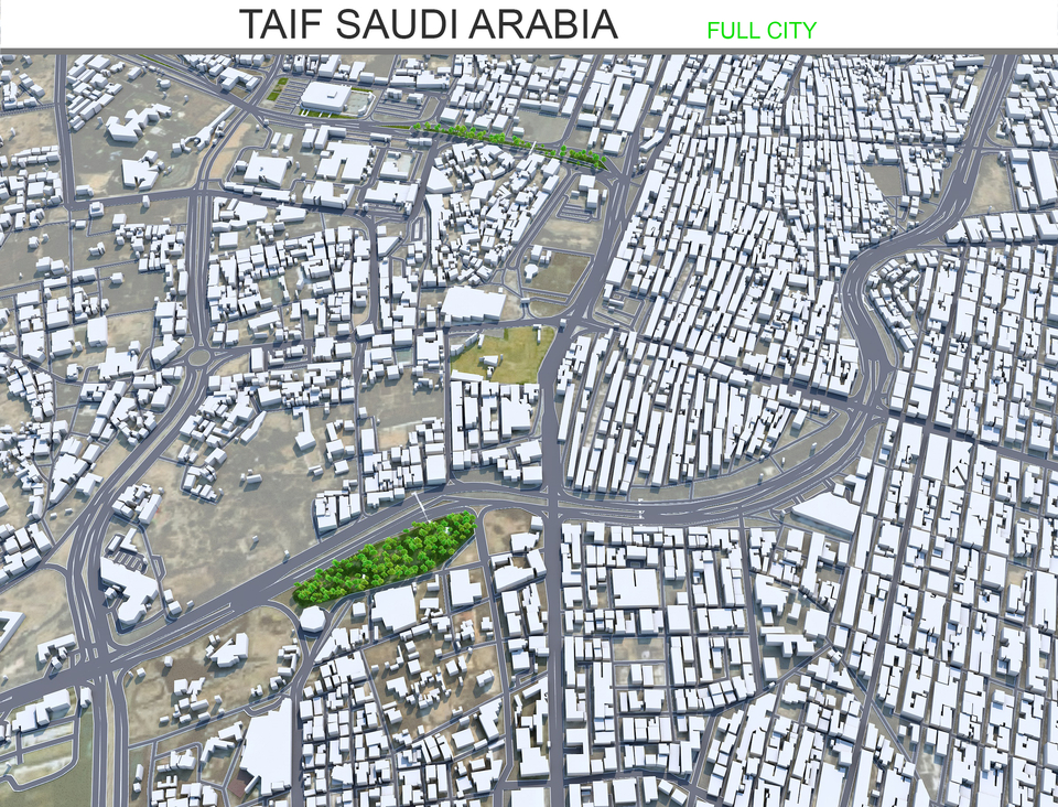 Taif city Saudi Arabia 3d model 50km