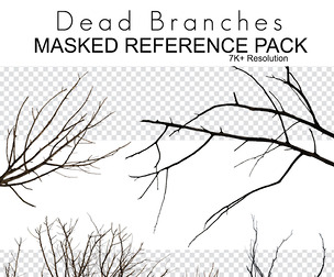 150 Bare branches, dead trees overlays, dry