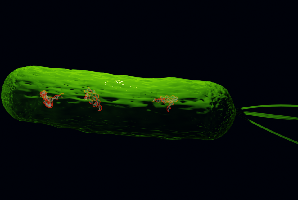 Bacteria With Dna Helix Detailed