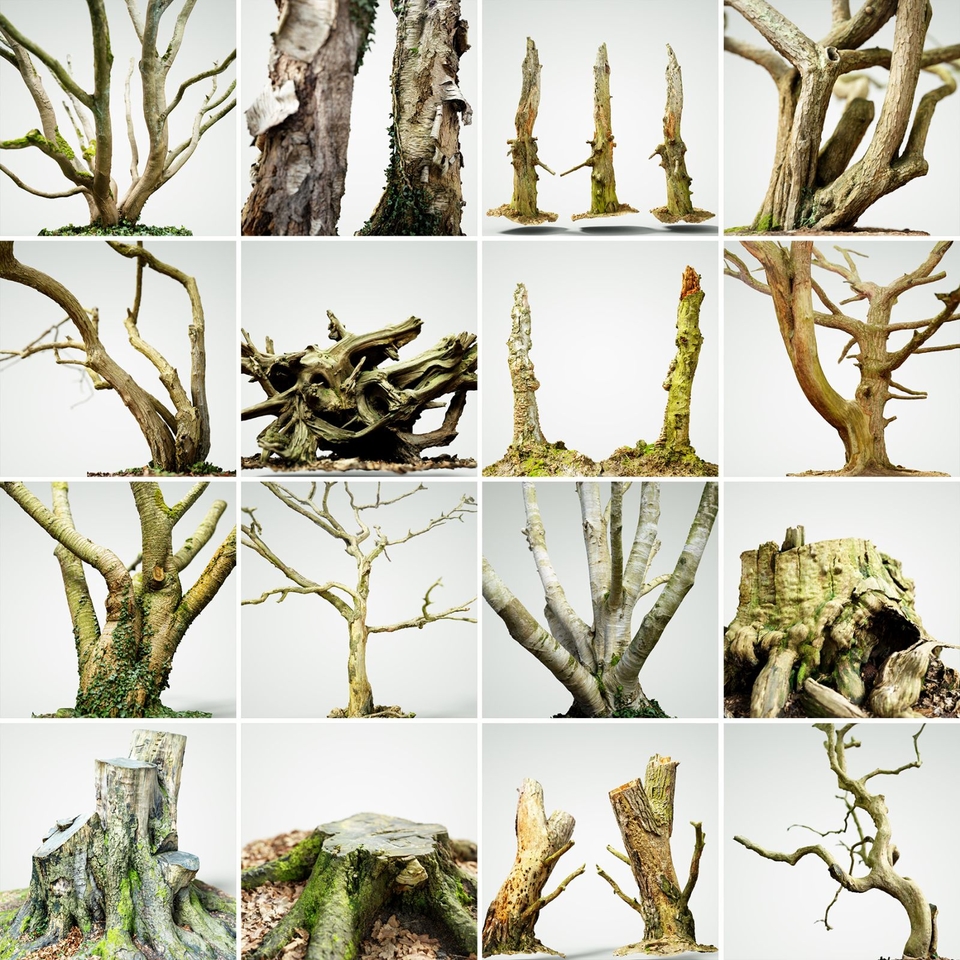 16 Tree Collection 1