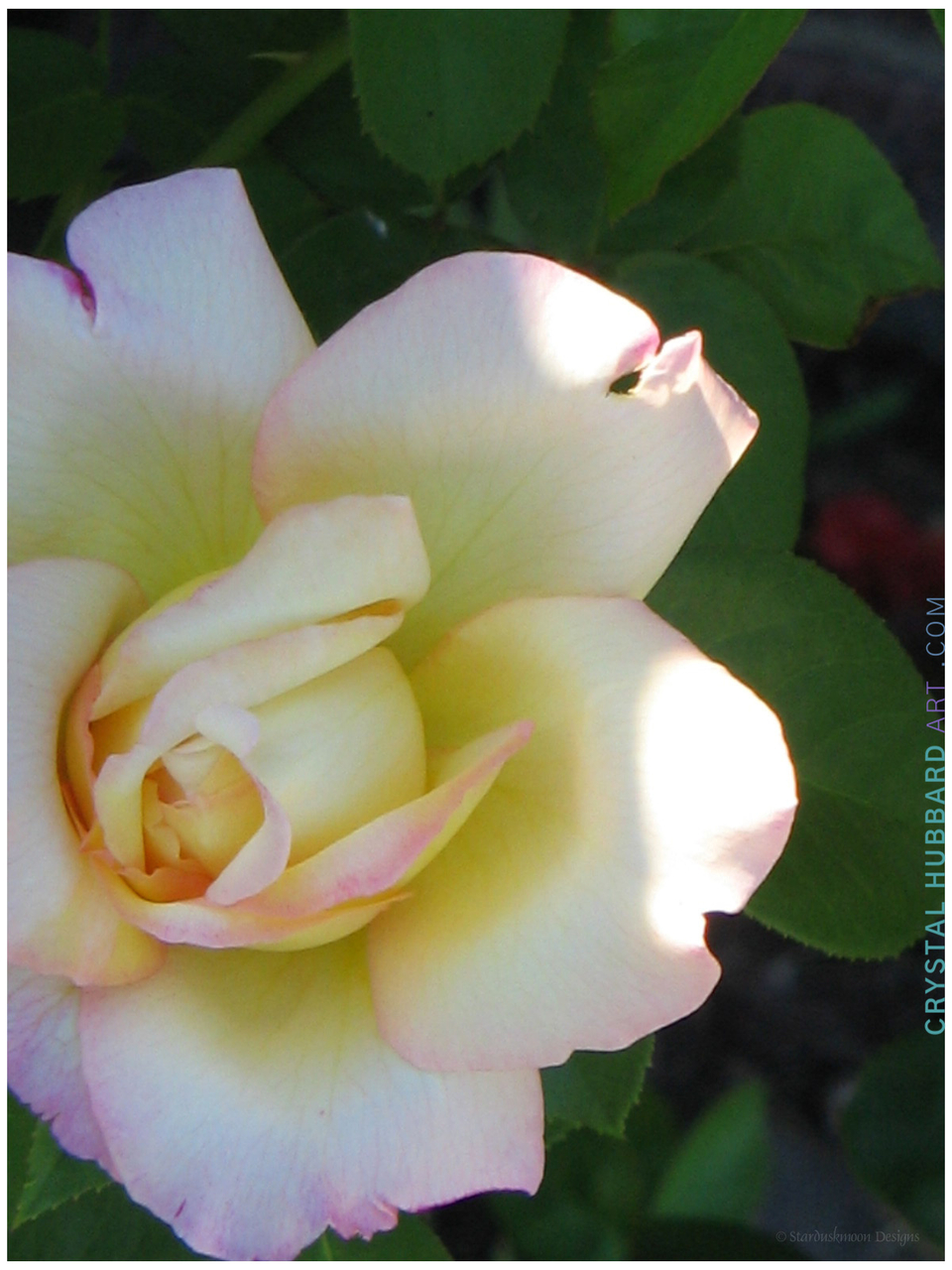 Crystal Hubbard Art .com