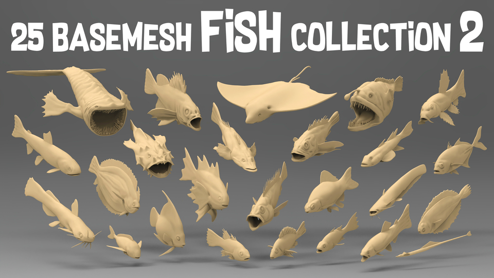 25 Basemesh fish collection 2