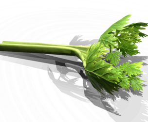 Leaf Pack- PBR Texture with Alpha Map