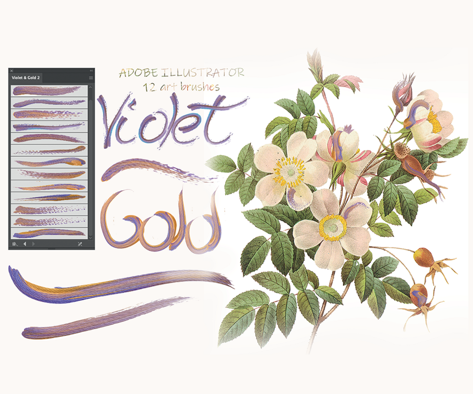 Violet & Gold Illustrator Brushes
