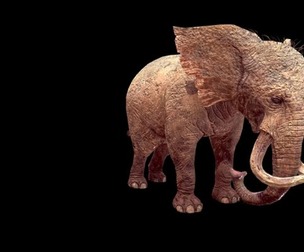 Elephant Maya Rig