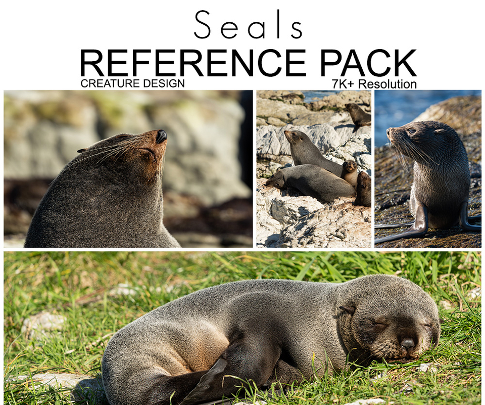 Ref Pack - Seals