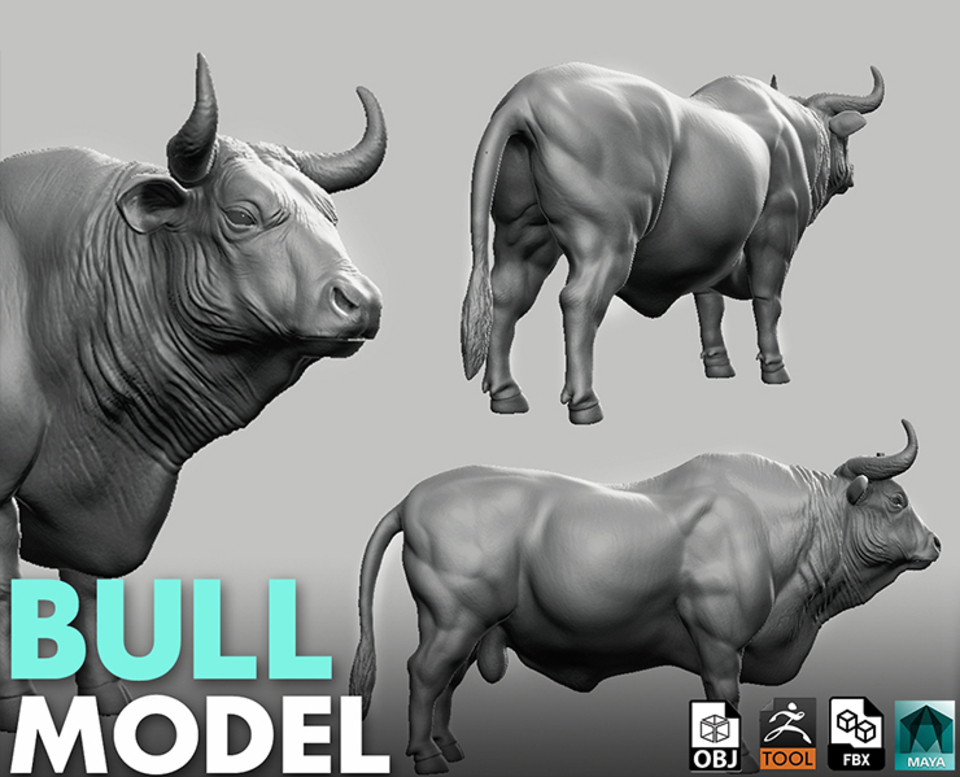 Bull - Topology + UV Map