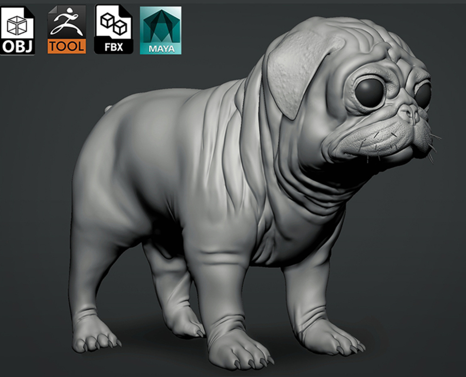 Pug Dog - Topology + UV Map