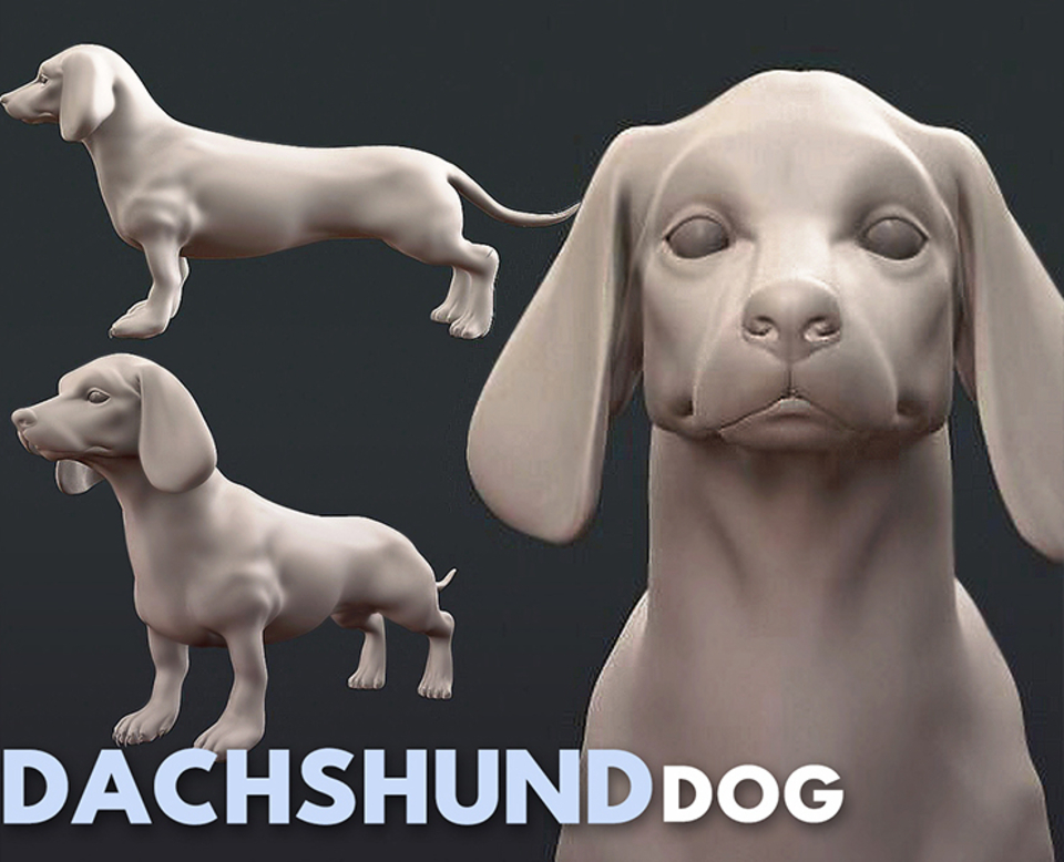 Dachshund Dog - Topology + UV Map