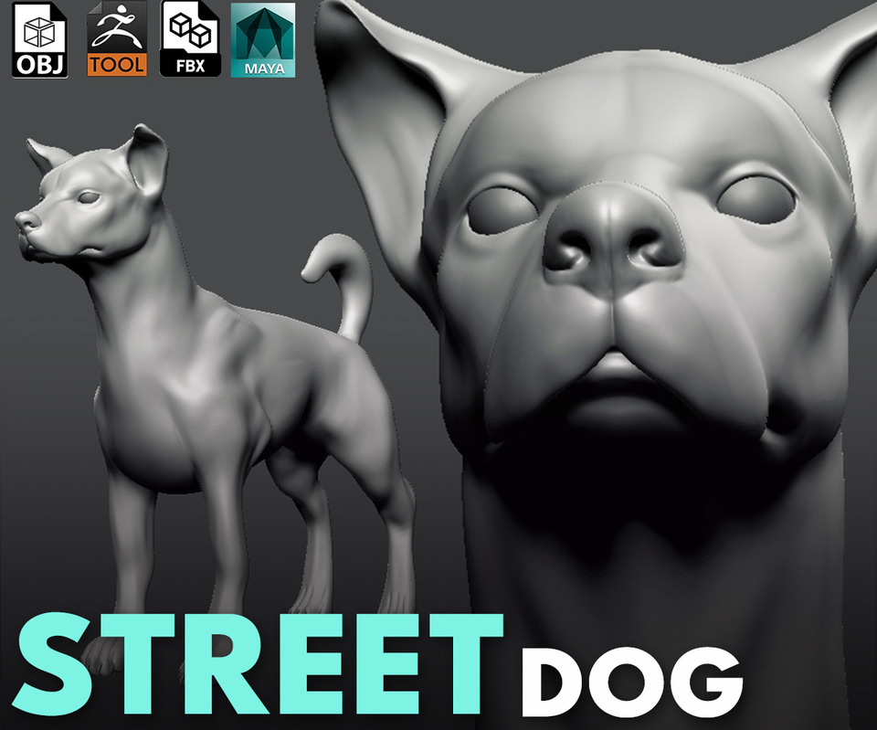 Street Dog - Topology + UV Map