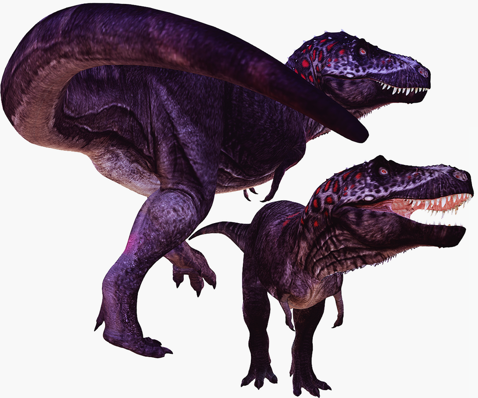 Theropod Tyrannosaurus Rex 3D MODEL