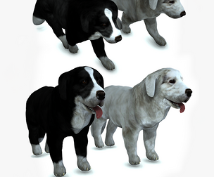 German Pinscher Dog Maya Rig